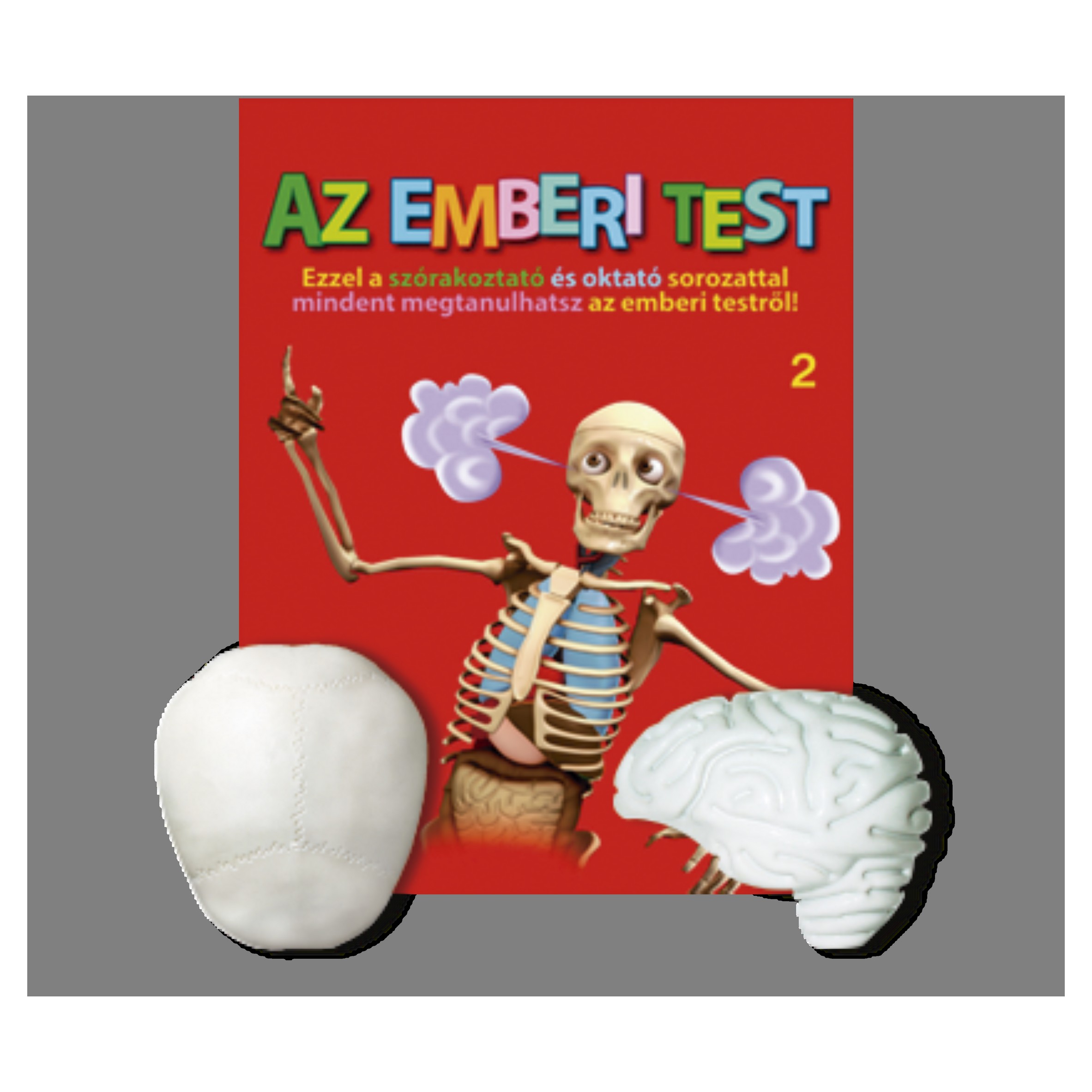 Az Emberi Test sorozat - Sajtóforrás - Rendelj Magazint otthonról!